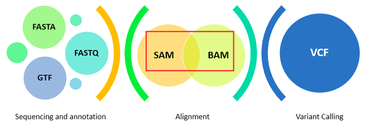 NGS数据格式02-SAM/BAM最详细解读 - 知乎