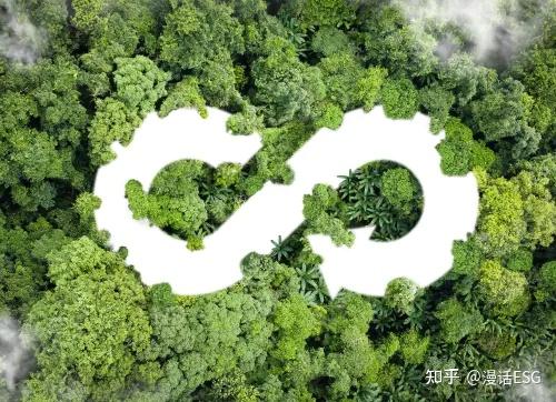 聊聊几个有关”green“的绿色术语——Green Botching - 知乎