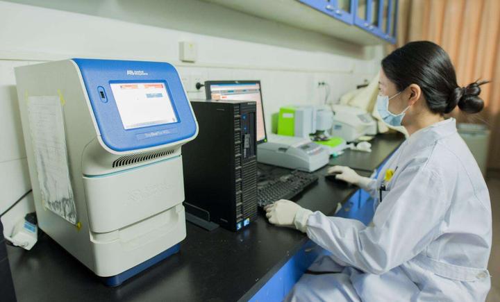 [技能分享]qRT-PCR实验及数据分析 - 知乎