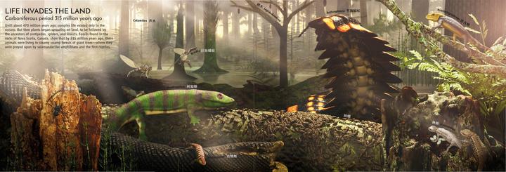 第四章 生物登陆 - 知乎