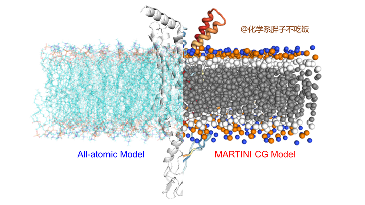 【GROMACS进阶】膜蛋白MARTINI 粗粒化模型的MD模拟教程 - 知乎