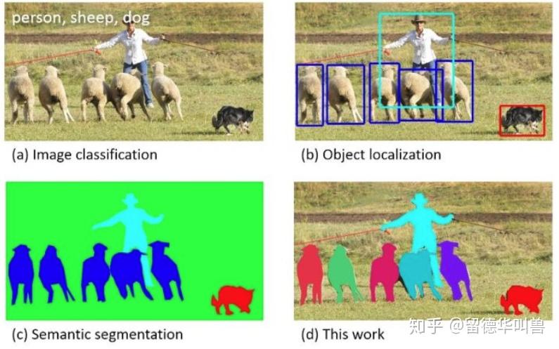 Instance Segmentation 比 Semantic Segmentation 难很多吗？ - 知乎