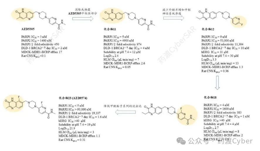 解析具有CNS渗透性的PARP1抑制剂AZD9574分子设计及优化过程 - 知乎