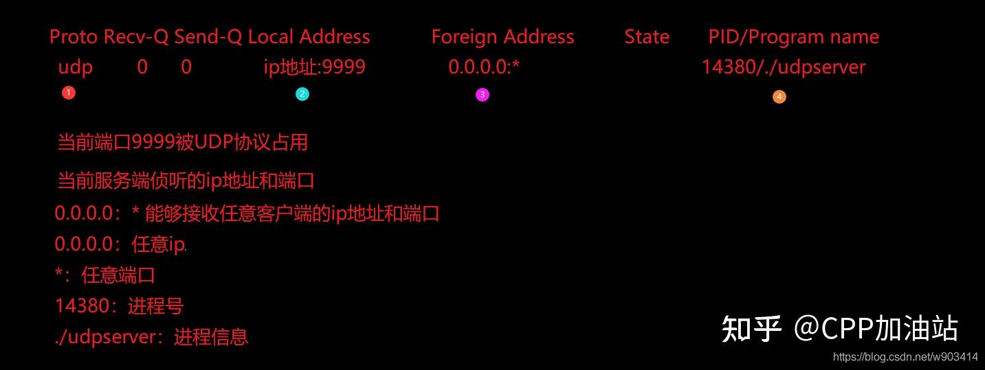 【Linux】一文搞懂socket网络编程！！！附详细代码 - 知乎