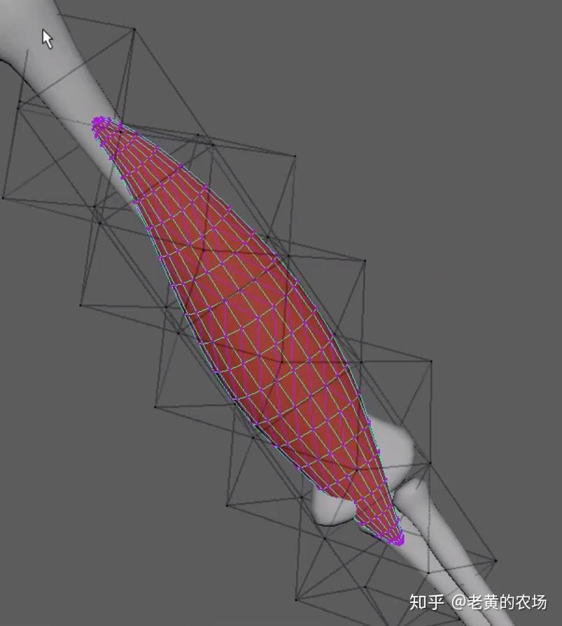 Maya-Ziva 肌肉插件学习笔记 - 知乎