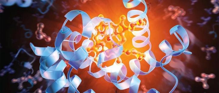 Science封面｜AlphaFold团队又出新作——下一代蛋白质结构预测和设计工具 - 知乎
