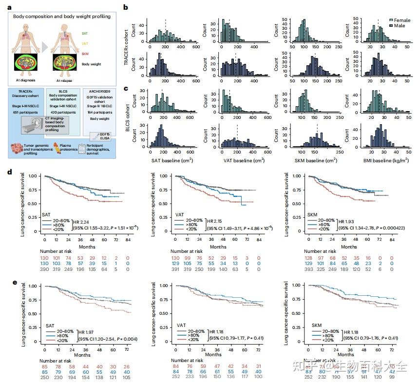 Olink高分文献解读|在TRACERx中肺癌患者的体重变化和身体组成与恶病质的关系 - 知乎