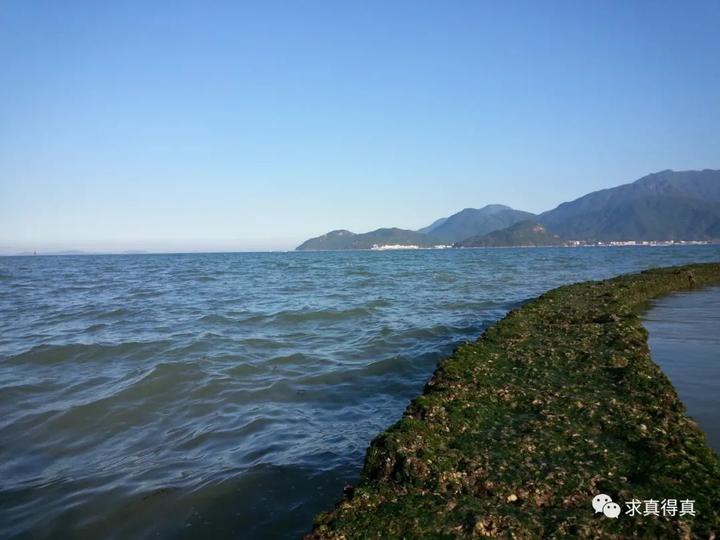 freeswitch的2833和inband对接方案 - 知乎