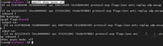 VPP配置指南：穿越NAT的IPsec VPN配置及性能测试 - 知乎