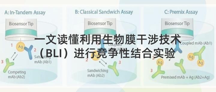 一文读懂利用生物膜干涉技术（BLI）进行竞争性结合实验 - 知乎