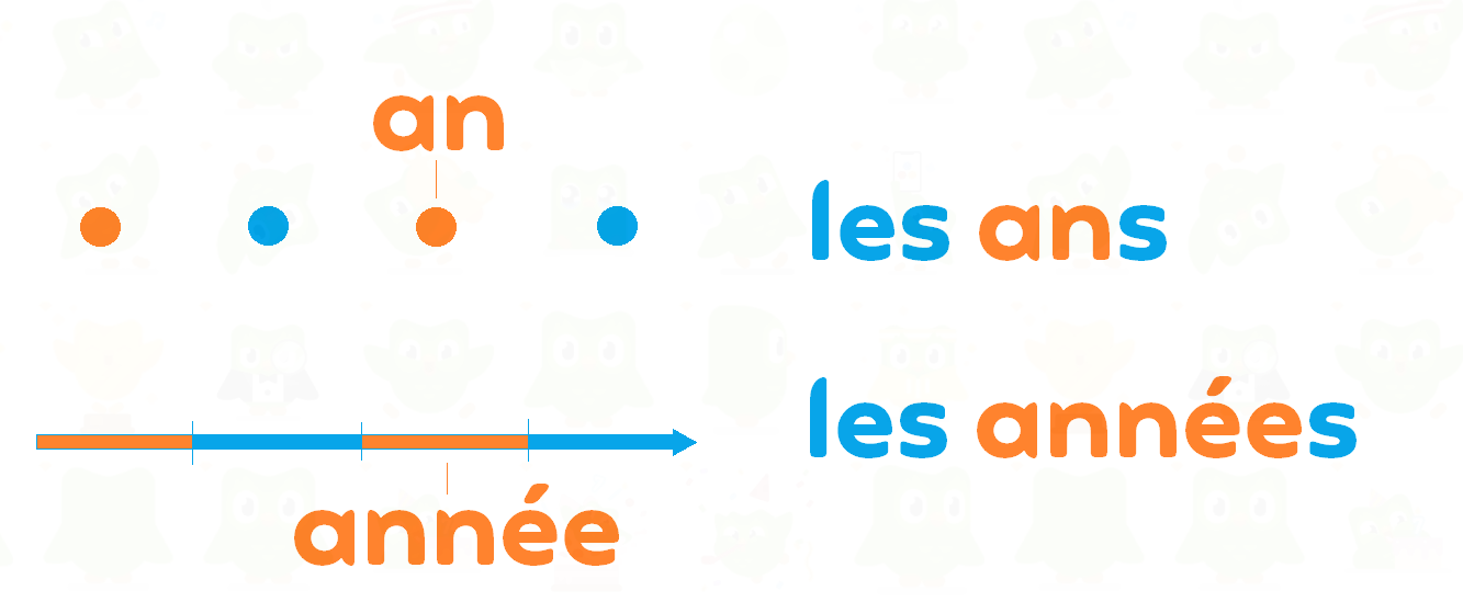 法语 an 与 année 的区别及用法？ - 知乎
