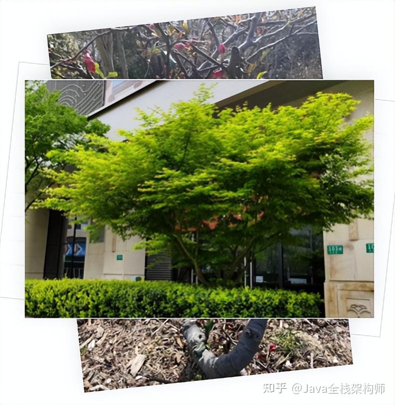 分布式ID｜从源码角度深度解析美团Leaf双Buffer优化方案 - 知乎