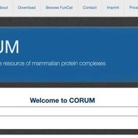 CORUM | 蛋白复合物查询数据库 - 知乎