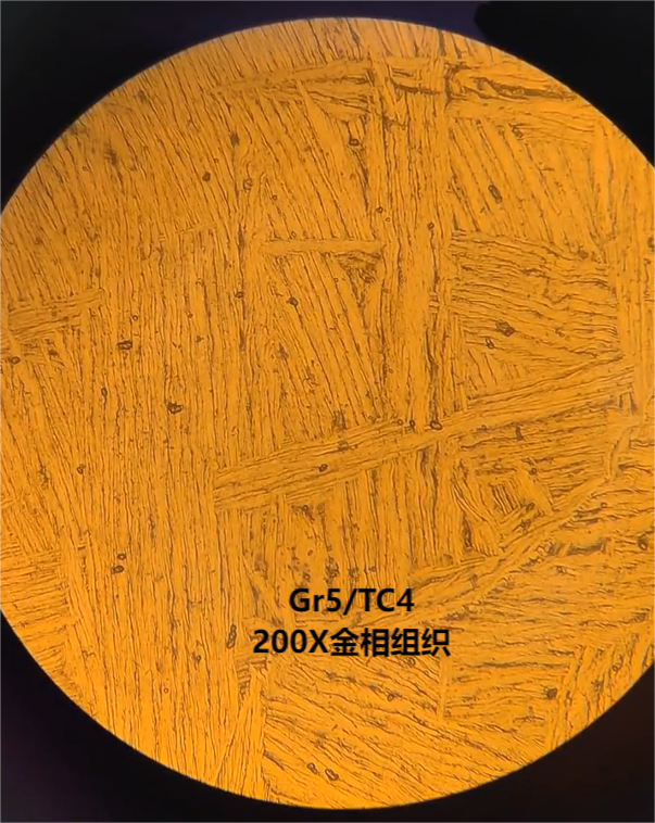 钛合金的分类（TA、TC、TB）以及金属组织 - 知乎