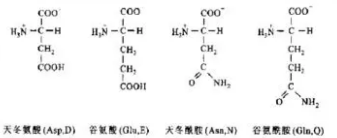 BHQ-3-Hyd-amine ，黑洞荧光猝灭基团bhq-1/2/3，偶联胺基NH2化腙键 - 知乎