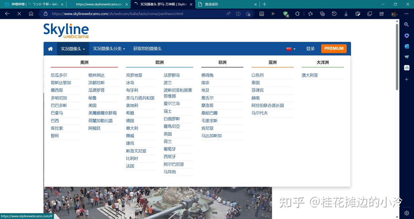 超好玩有趣的全球高清实况摄像头 skyline webcams - 知乎