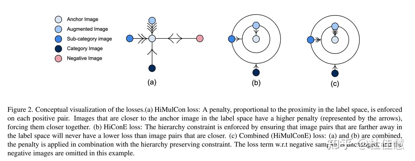 Use All The Labels: A Hierarchical Multi-Label Contrastive Learning Framework - 知乎