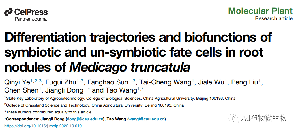 中国农业大学Molecular Plant | 两篇文章揭示如何逐个细胞地剖析植物微生物共生！ - 知乎