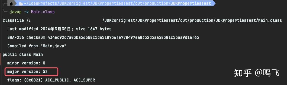 大佬们最近学java，这个IDEA上配置的这个东西是什么意思？ - 知乎