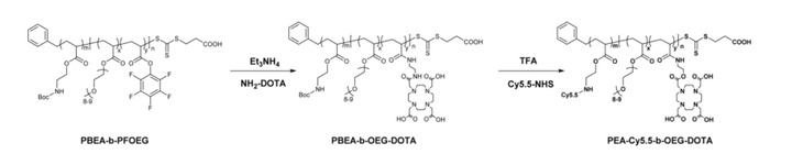 有机配体-NOTA偶联荧光/糖/蛋白PEA-Cy5.5-OEG-DOTA修饰聚醚胺-近红外花菁染料Cy5.5 - 知乎