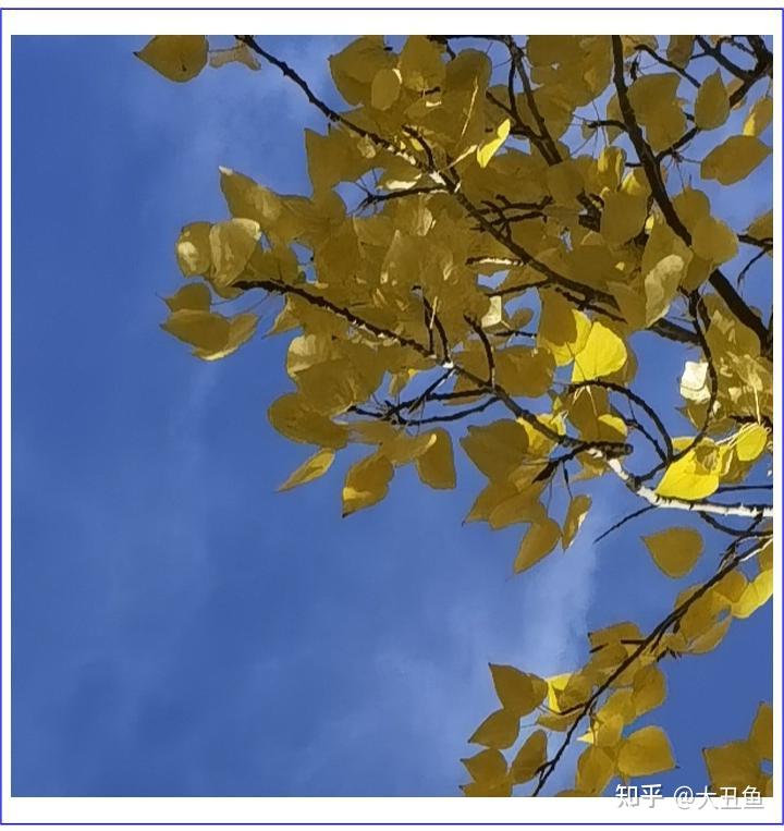 鸿蒙App开发-图片编辑-使用PixelMap完成图像变换 - 知乎