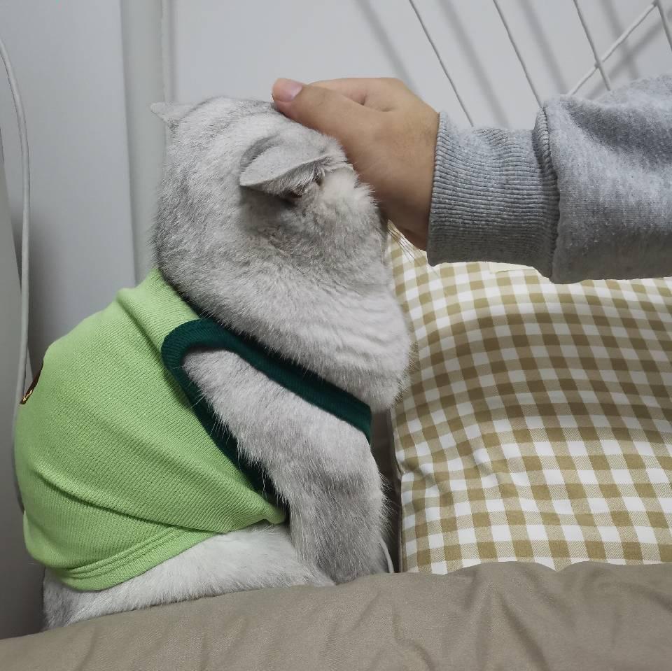 Qt Core学习日记——第七天QMetaObject（上） - 知乎