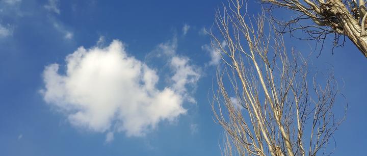 ACL2023——One Embedder, Any Task: Instruction-Finetuned Text Embeddings - 知乎