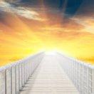 经济名词解释—SLF MLF TMLF - 知乎