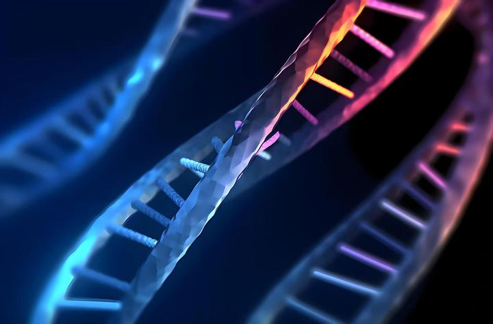 聚合酶链式反应（PCR）技术：解锁生命科学的钥匙 - 知乎