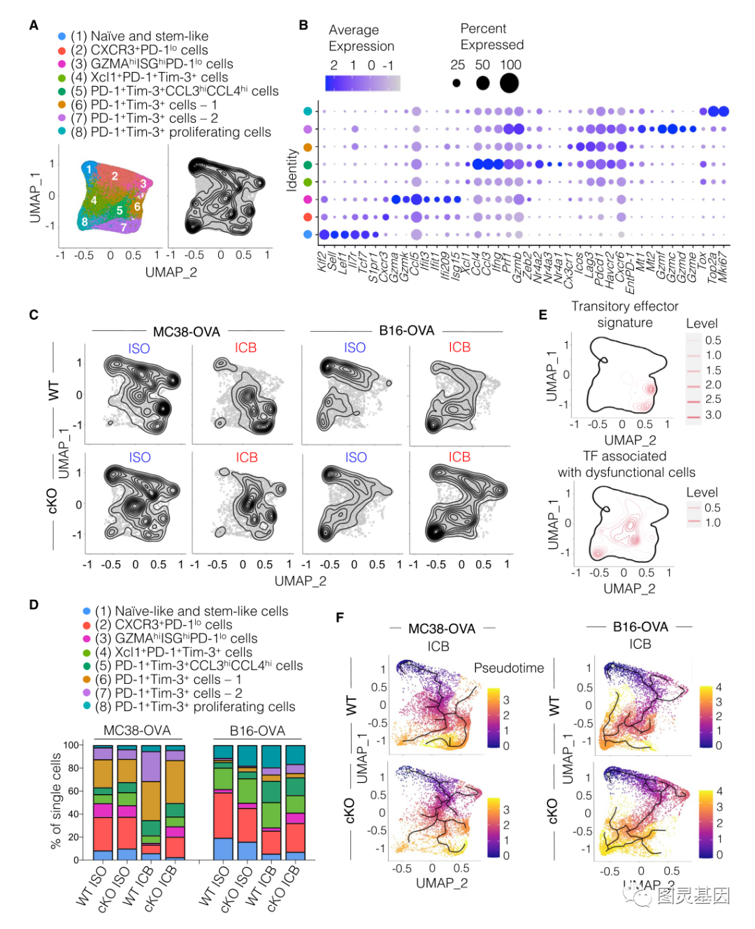 Can Cell | 哈佛医学院揭示肿瘤免疫原性决定免疫治疗对TCF1的依赖性 - 知乎