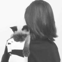 Swing文本组件JTextField和JTextArea介绍 - 知乎