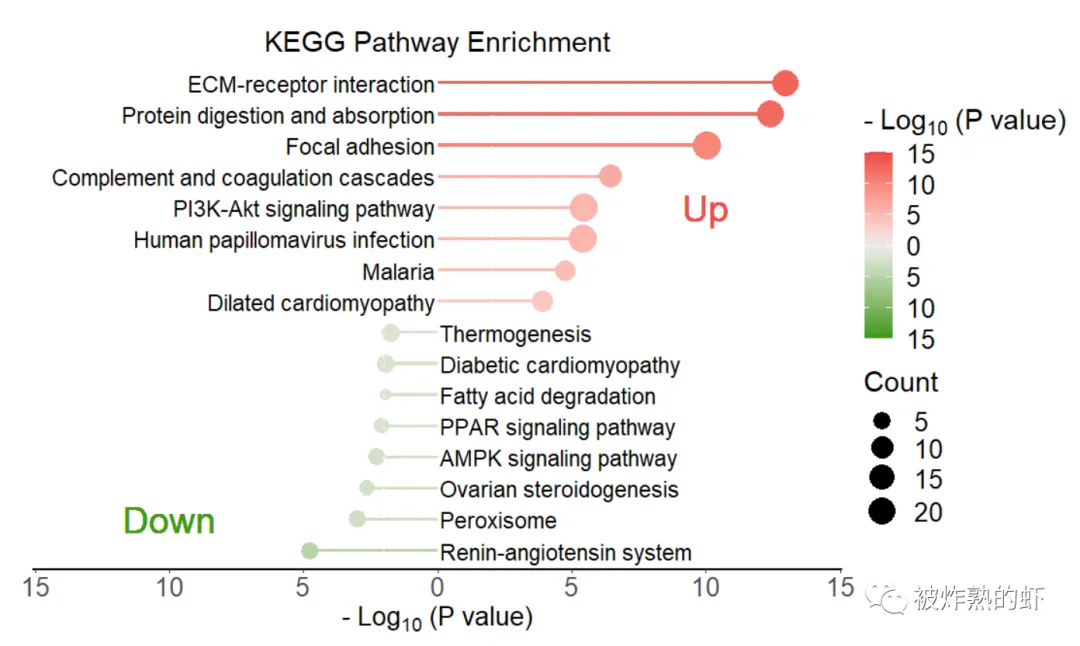 在KEGG分析中，富集到的Pathway比较少（个位数），怎么办？ - 知乎