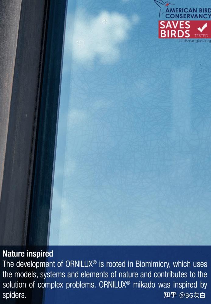 如何避免鸟类在室内撞窗？一篇实用指南 - 知乎