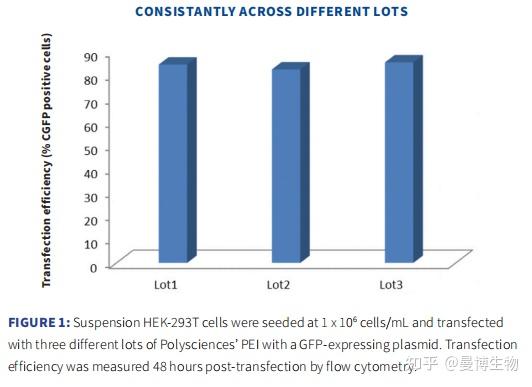 基因与细胞治疗用转染试剂-Polysciences PEI - 知乎