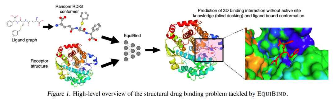 ICML2022 | EQUIBIND：用于药物结合结构预测的几何深度学习方法 - 知乎