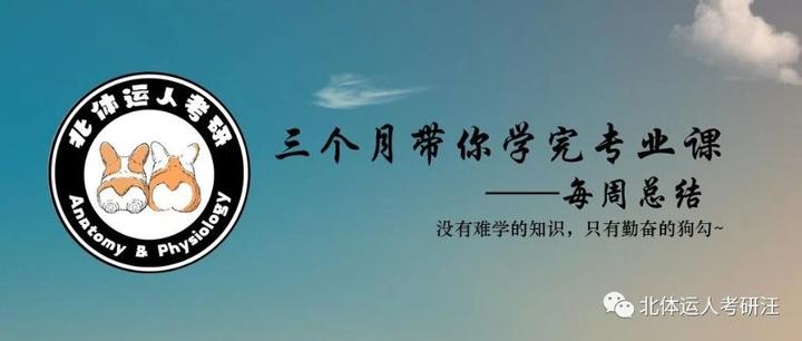 【北体运人考研·三个月带你学完专业课】Day7-总结 - 知乎