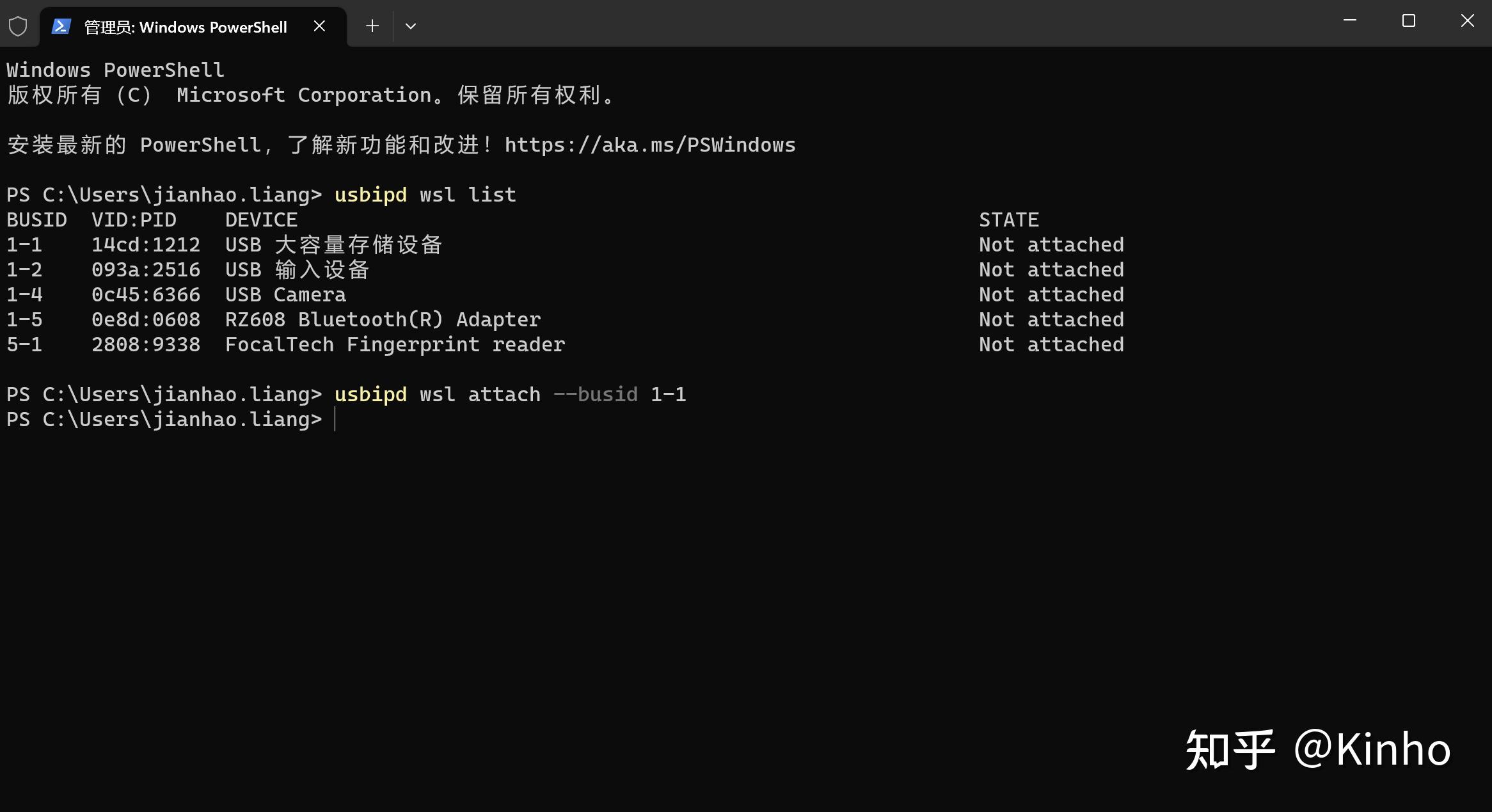 WSL2连接USB存储设备（保姆级教程，真正做到你奶奶来了也能成功） - 知乎