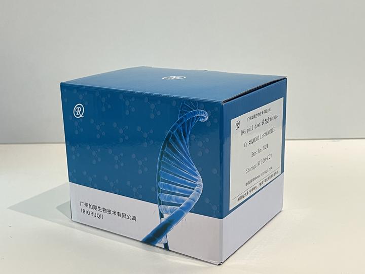 DNA pull down试剂盒 - 知乎