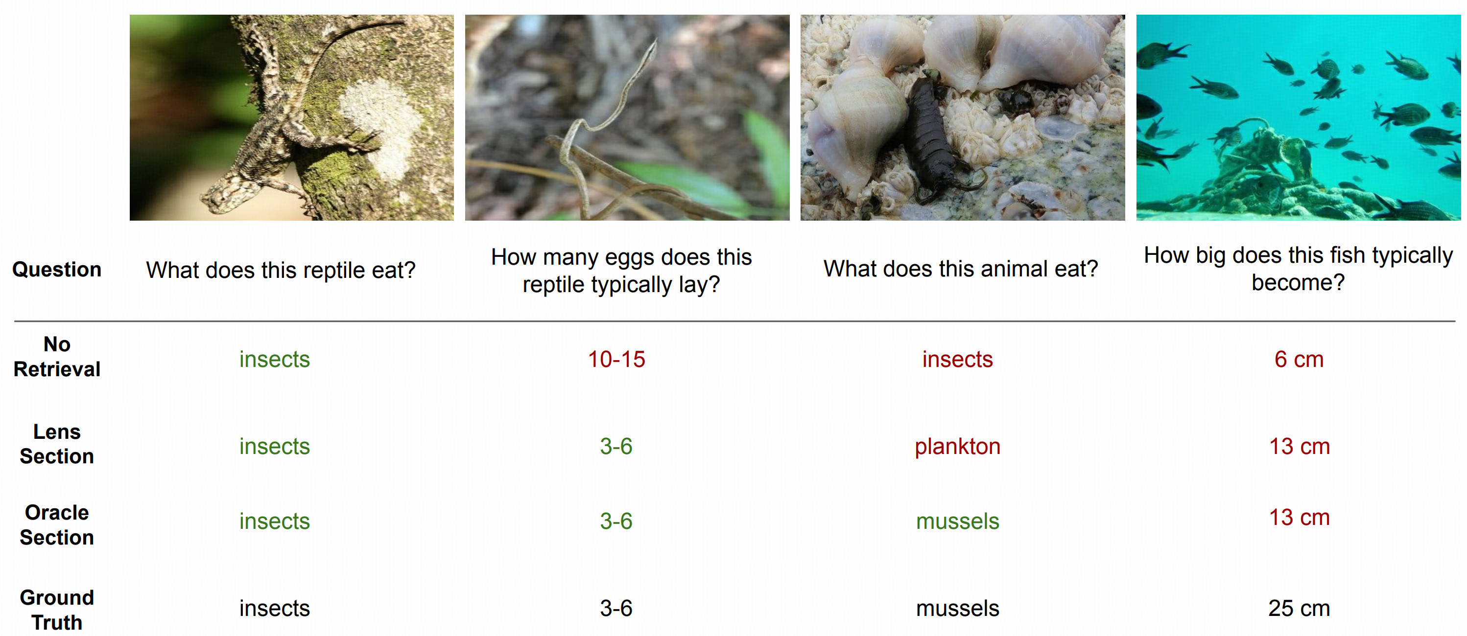 Encyclopedic VQA（百科全书式VQA数据集） - 知乎