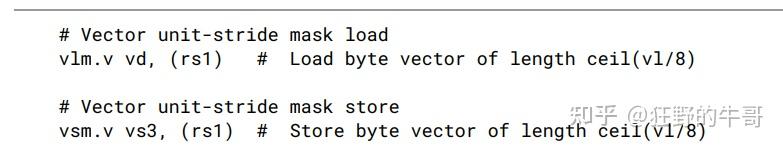 RISC-V Vector的load/store - 知乎