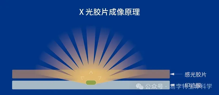 干货 | WB常用显影方法原理和优劣势对比 - 知乎