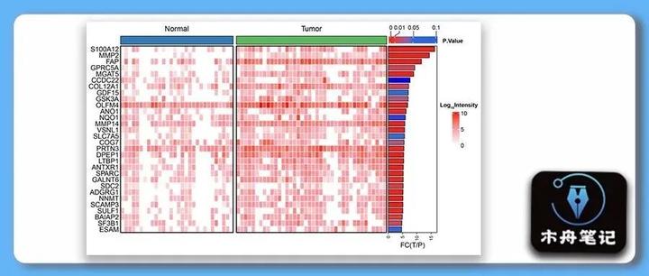 跟着 Cell 学作图 | 复杂热图(ComplexHeatmap) - 知乎