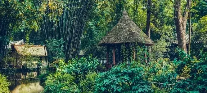 成都，雪山下的公园城市 - 知乎