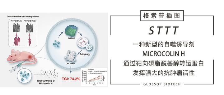 STTT | 一种新型的自噬诱导剂 Microcolin H 通过靶向磷脂酰基醇转运蛋白发挥强大的抗肿瘤活性 - 知乎