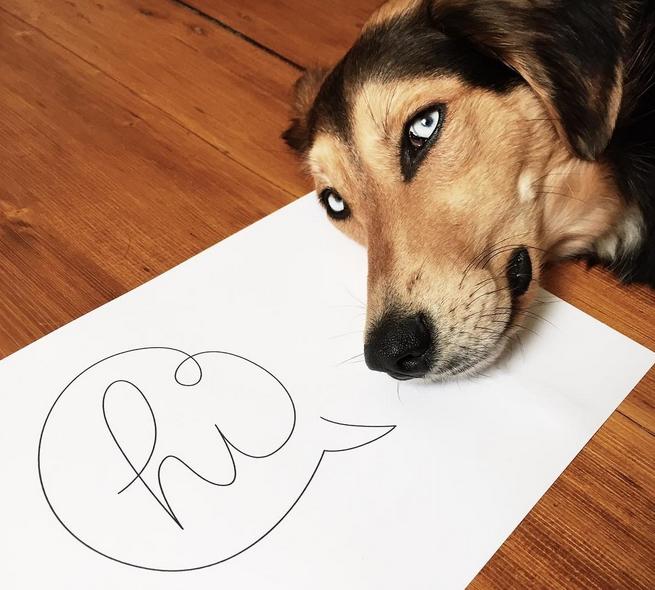 别拦我，我要学这种简笔画！ - 知乎