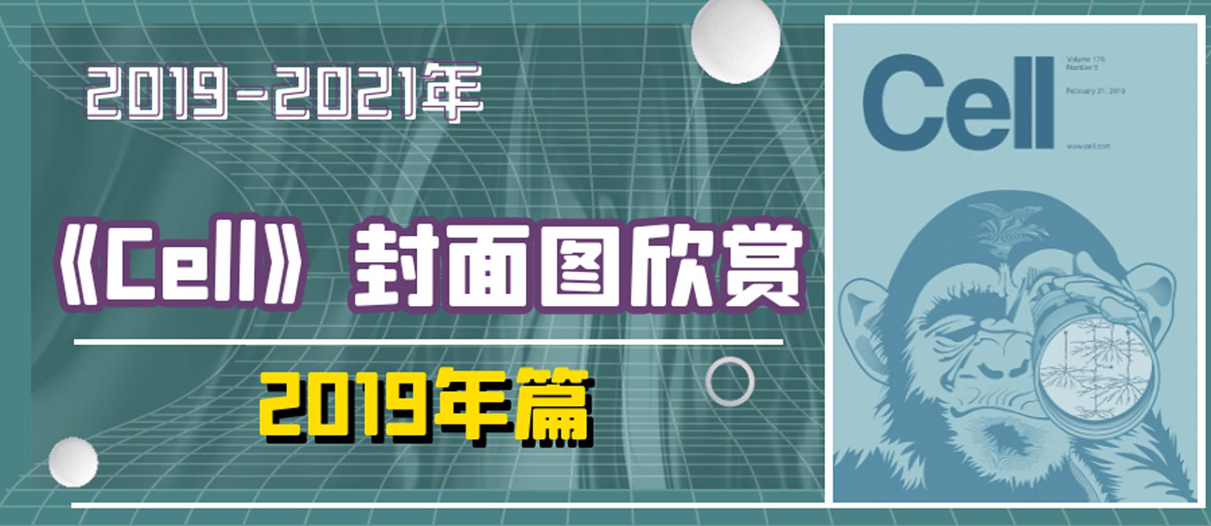 科学与艺术的结合！《CELL》100+张期刊封面鉴赏｜2019年篇 - 知乎