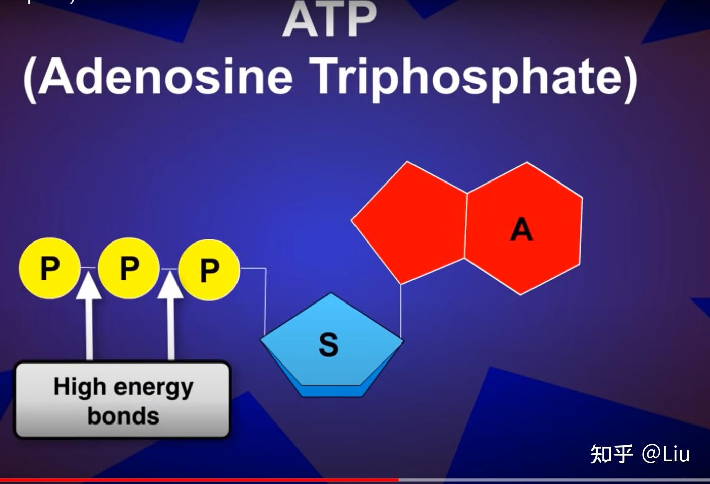 什么是ATP - 知乎