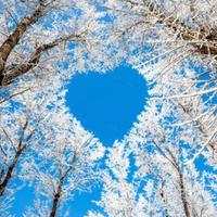 在word中使用endnote时，当出现“Endnote Error”怎么办？ - 知乎