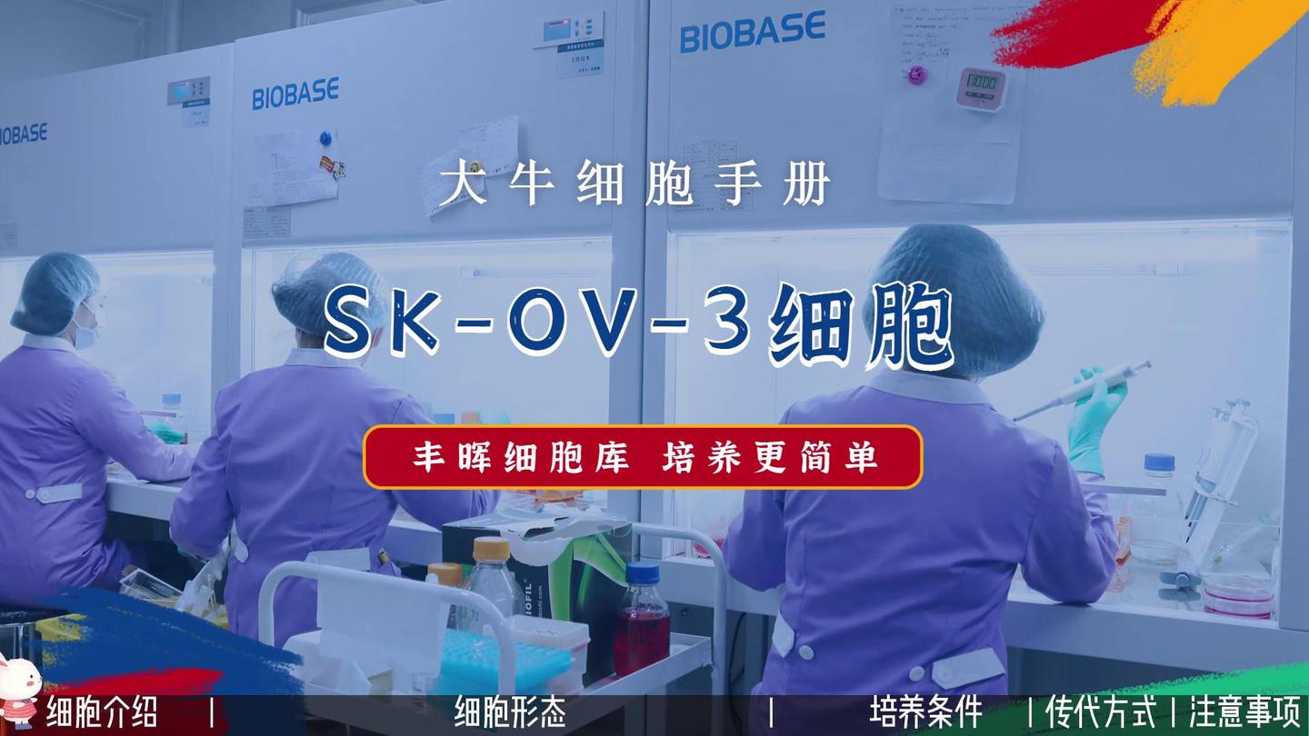 SK-OV-3细胞培养，人卵巢癌细胞培养攻略 - 知乎