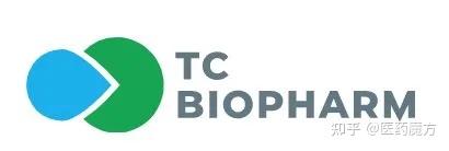 杨林点评 | 癌症免疫疗法后起之秀——γδ T细胞 - 知乎